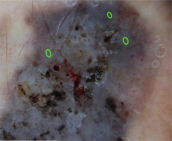 Fig. 3