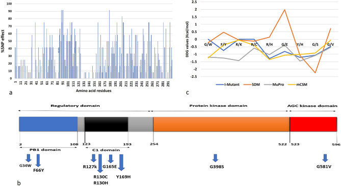 Impact of deleterious missense PRKCI variants on structural and functional dynamics of protein - PMC