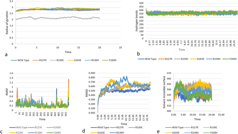 Impact of deleterious missense PRKCI variants on structural and functional dynamics of protein - PMC