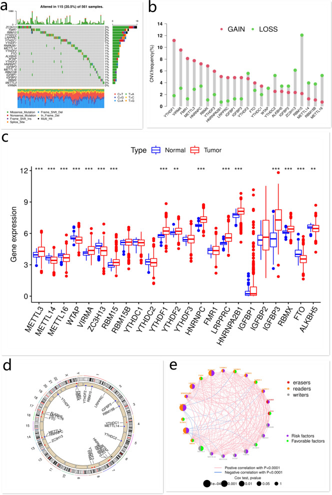 Multi-omics analysis of m6A modification-related patterns based on m6A regulators and tumor ...