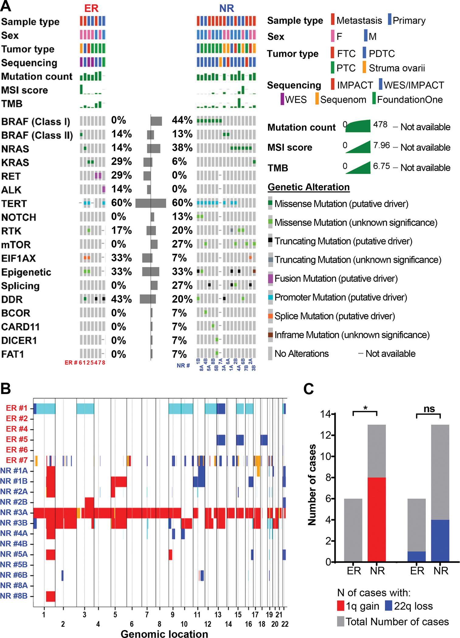 Genomic and transcriptomic characteristics of metastatic thyroid cancers with exceptional ...