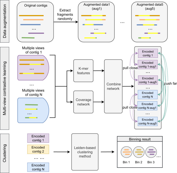 Effective binning of metagenomic contigs using contrastive multi-view representation learning - PMC