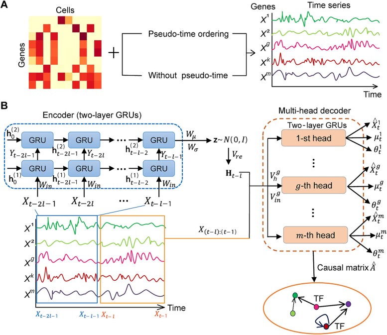 Inferring gene regulatory networks from time-series scRNA-seq data via ...