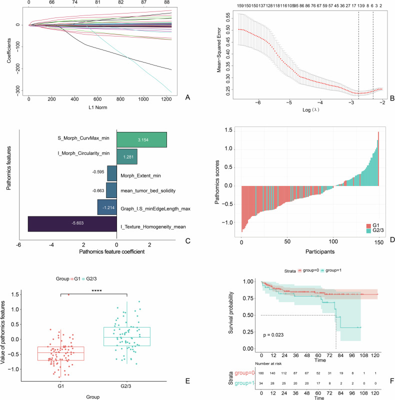 Development and validation of a pathomics model for accurate grading of pancreatic ...