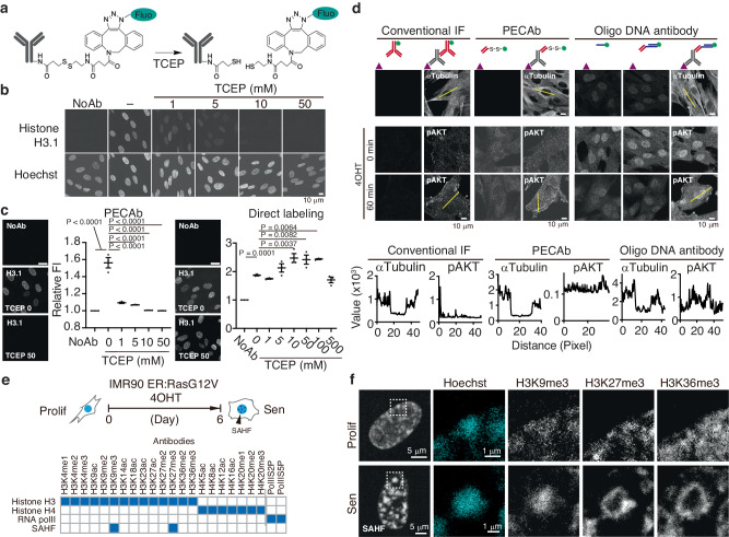 Precise immunofluorescence canceling for highly multiplexed imaging to capture specific cell ...