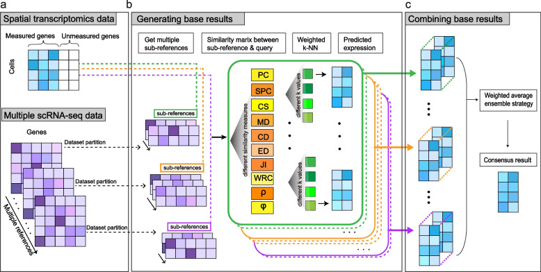 ENGEP: advancing spatial transcriptomics with accurate unmeasured gene expression prediction - PMC