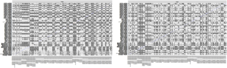 A longitudinal network analysis of the relationship between love addiction, insecure attachment ...