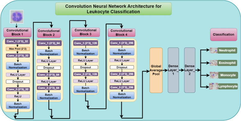 Deep learning-based image annotation for leukocyte segmentation and classification of blood cell ...