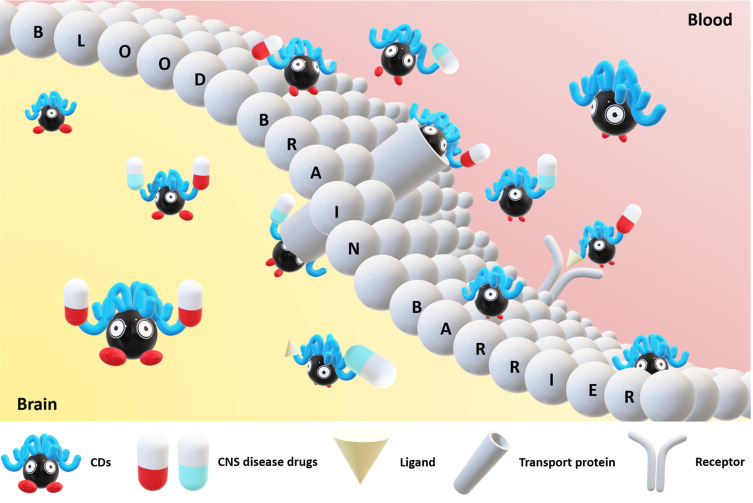 Carbon Dots: A Future Blood–Brain Barrier Penetrating Nanomedicine and ... Carbon Dots: A Future Blood–Brain Barrier Penetrating Nanomedicine and ...