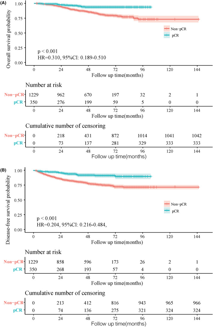 A dynamic nomogram for predicting pathologic complete response to neoadjuvant chemotherapy in ...