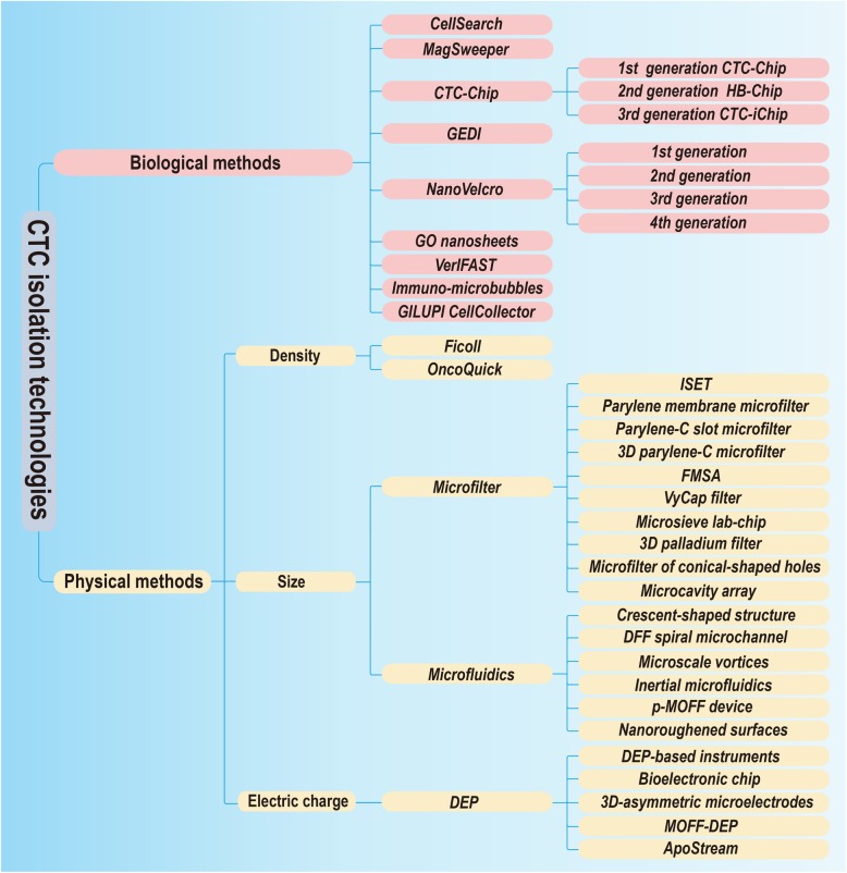 Circulating tumor cells in cancer patients: developments and clinical ...