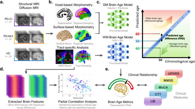 Advanced brain aging in Parkinson’s disease with cognitive impairment - PMC