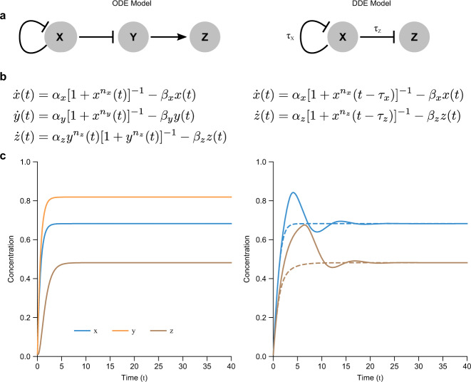 Nonlinear delay differential equations and their application to modeling biological network ...
