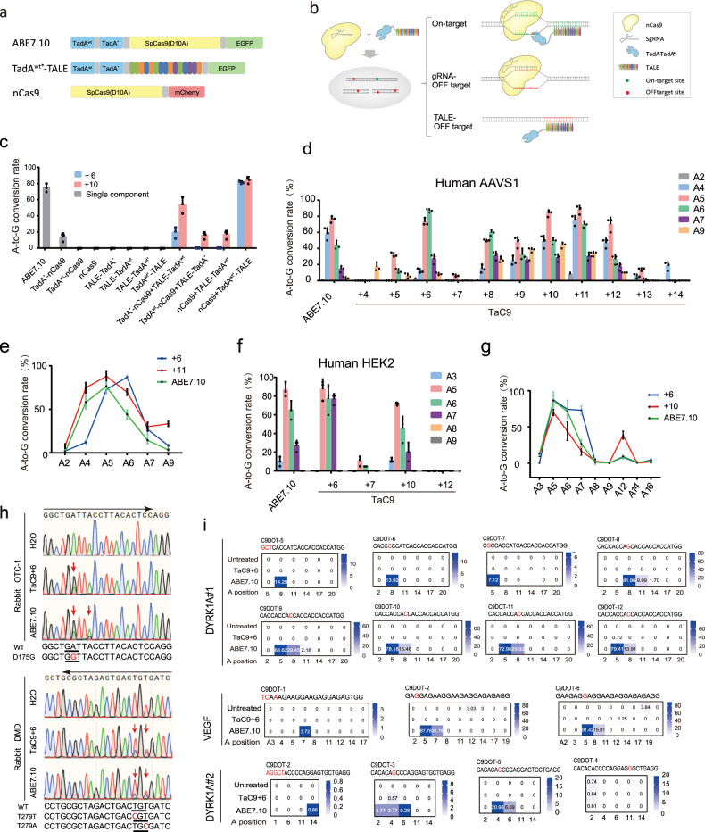 Elimination Of Cas9 Dependent Off Targeting Of Adenine Base Editor By