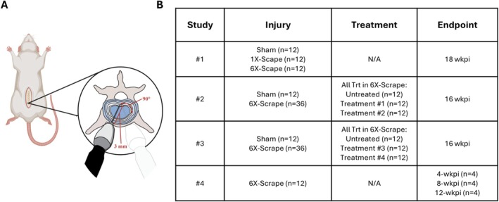 Automated Computational Pathology to Assess Degenerative Disc Histology ...
