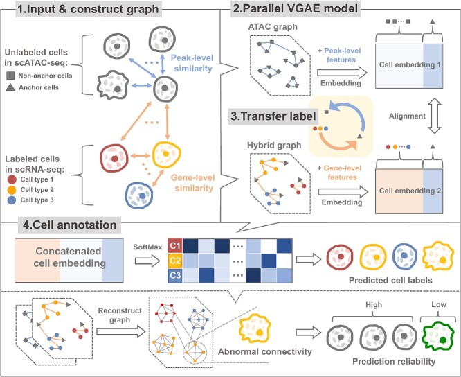 Graphical Abstract