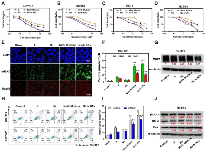 A carrier-free supramolecular nano-twin-drug for overcoming irinotecan-resistance and enhancing ...