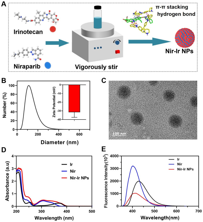 A carrier-free supramolecular nano-twin-drug for overcoming irinotecan-resistance and enhancing ...
