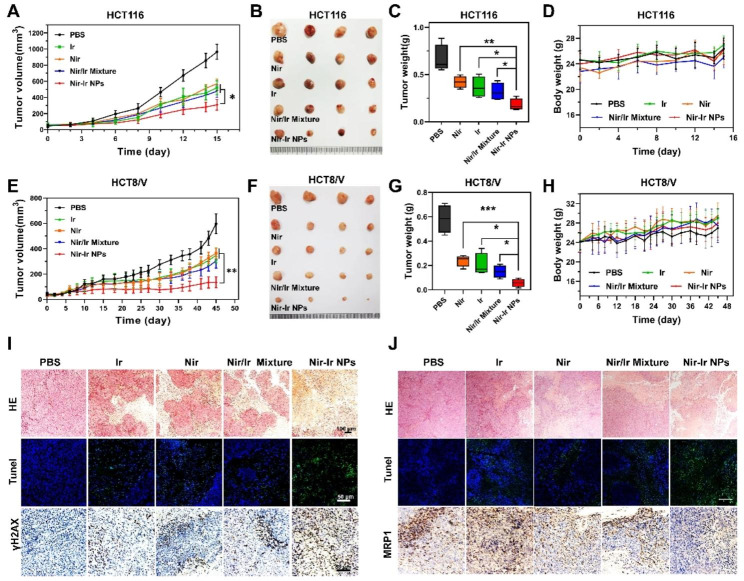A carrier-free supramolecular nano-twin-drug for overcoming irinotecan-resistance and enhancing ...