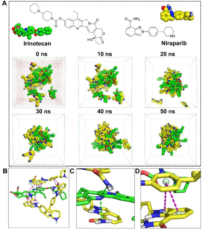 A carrier-free supramolecular nano-twin-drug for overcoming irinotecan-resistance and enhancing ...