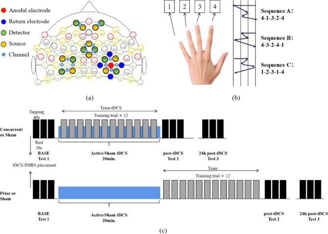 Timing of high-definition transcranial direct current stimulation to the nondominant primary ...