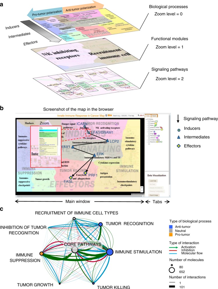 A multiscale signalling network map of innate immune response in cancer reveals cell ...