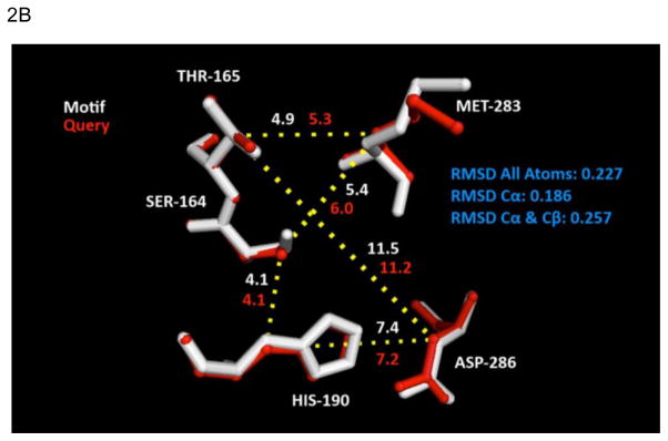 Automated Protein Motif Generation in the Structure-Based Protein Function Prediction Tool ...
