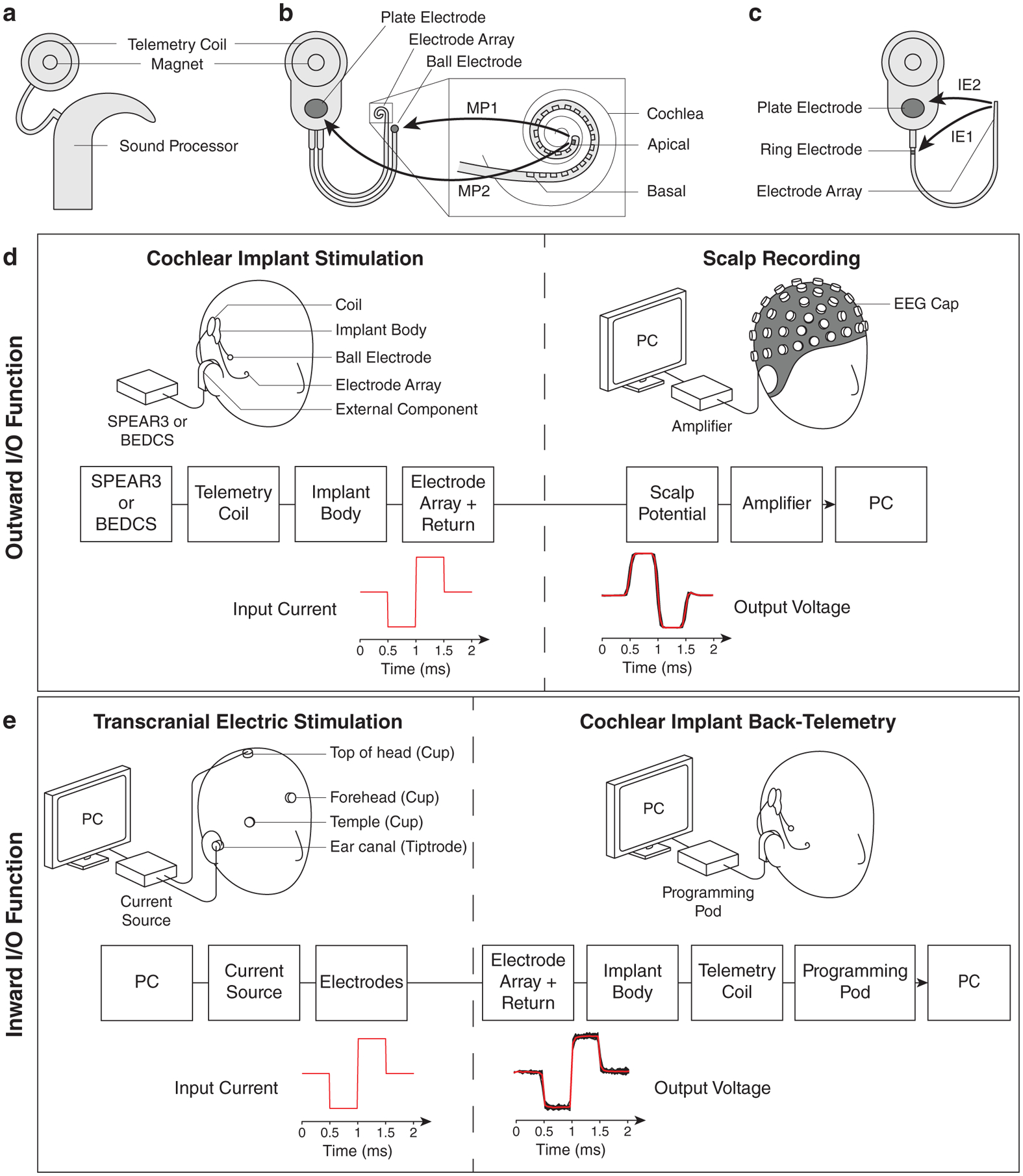 Input–Output Functions in Human Heads Obtained With Cochlear Implant and Transcranial Electric ...