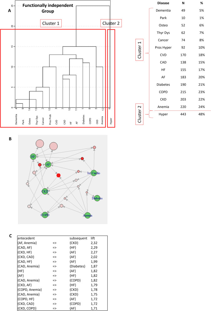Interactions between patterns of multimorbidity and functional status among hospitalized older ...