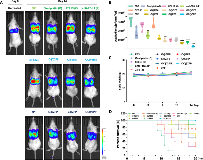 Reshaping tumor immune microenvironment and modulating T cell function based on hierarchical ...