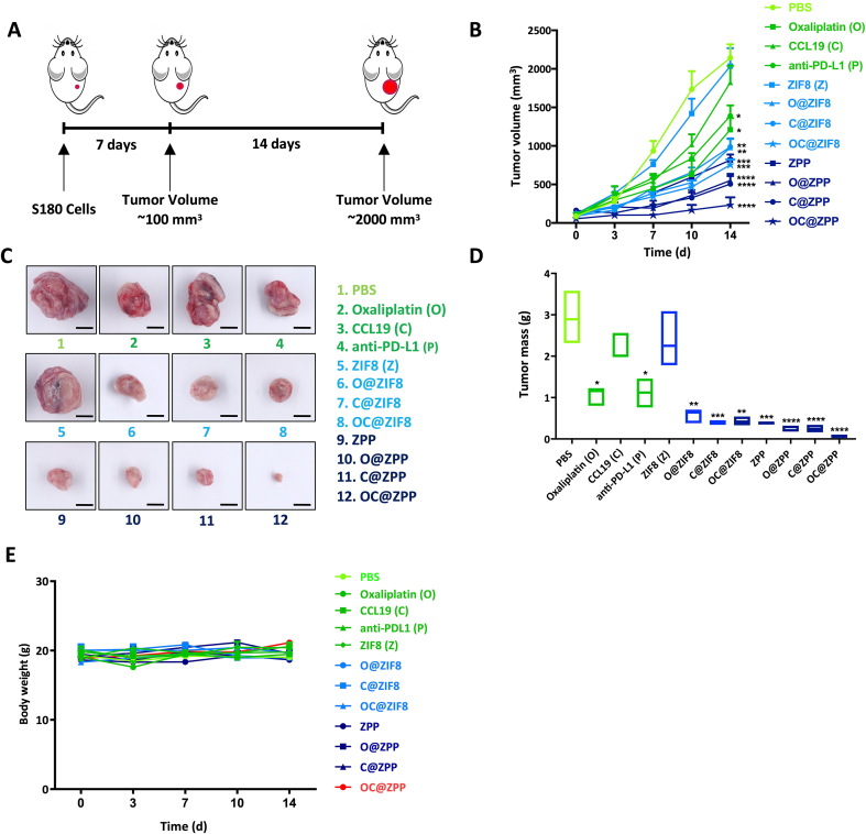 Reshaping tumor immune microenvironment and modulating T cell function based on hierarchical ...