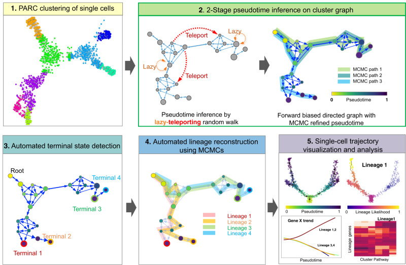 Generalized and scalable trajectory inference in single-cell omics data with VIA - PMC