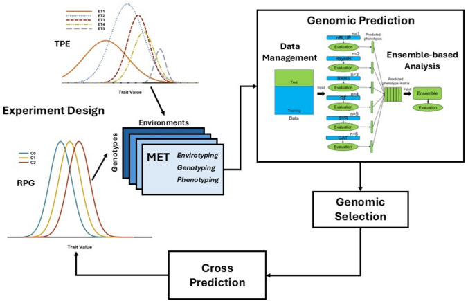 Breeding perspectives on tackling trait genome-to-phenome (G2P) dimensionality using ensemble ...