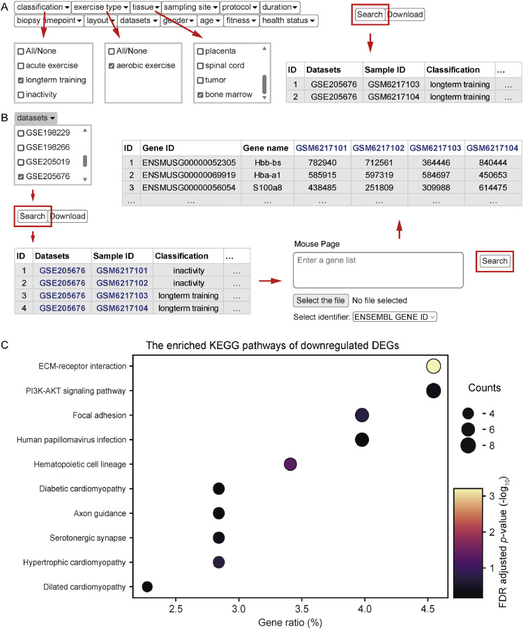 GEPREP: A comprehensive data atlas of RNA-seq-based gene expression profiles of exercise ...