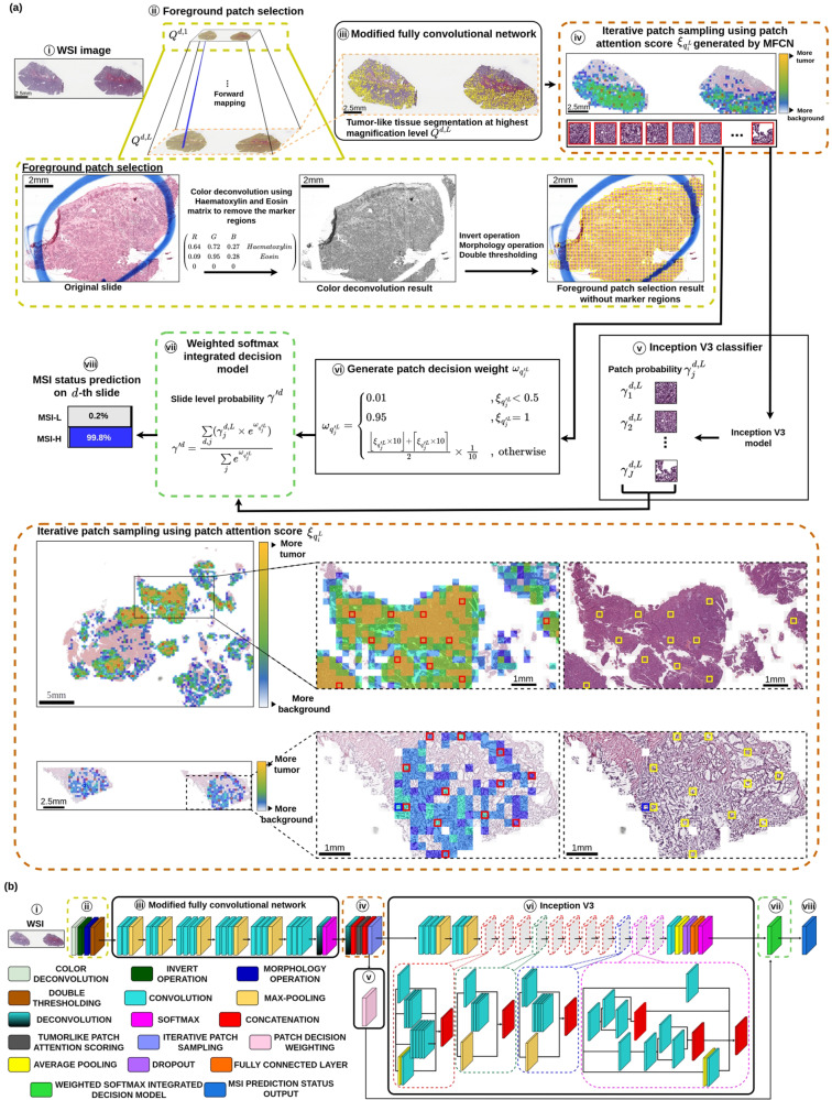 Deep learning to assess microsatellite instability directly from histopathological whole slide ...