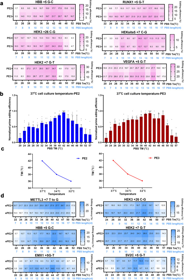 Development of a highly efficient prime editor system in mice and rabbits - PMC