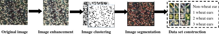 Wheat ear counting using K-means clustering segmentation and convolutional neural network - PMC