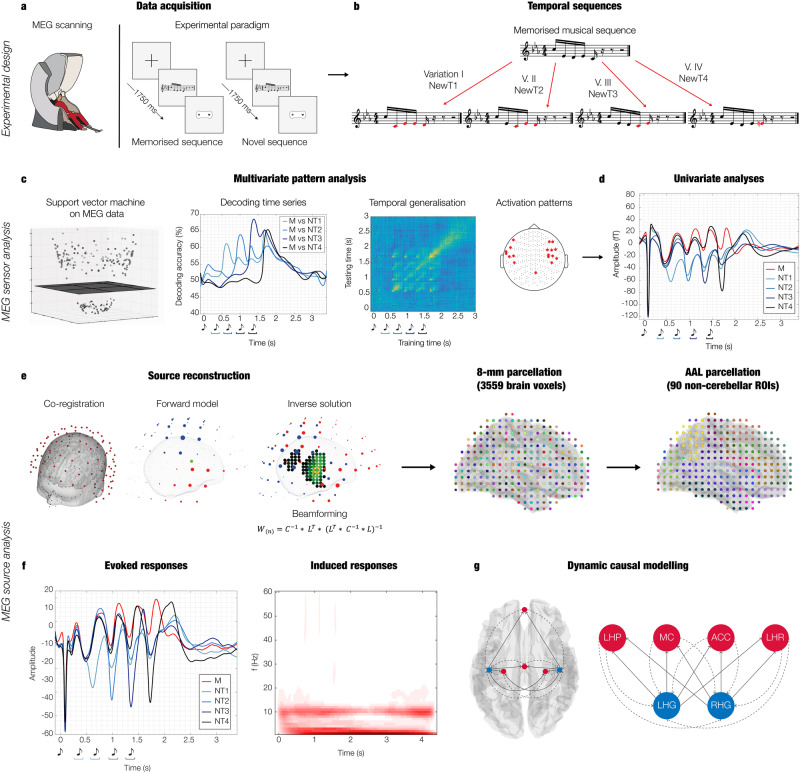 Spatiotemporal brain hierarchies of auditory memory recognition and predictive coding - PMC