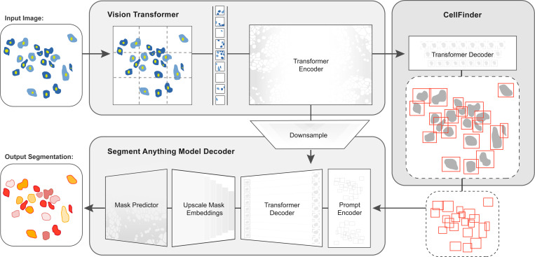 CellSAM: A Foundation Model for Cell Segmentation - PMC