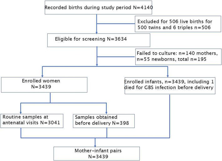 Group B streptococcal colonization in mothers and infants in western ...