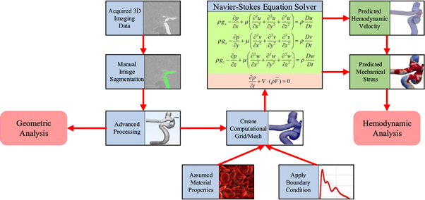 Can we explain machine learning-based prediction for rupture status assessments of intracranial ...