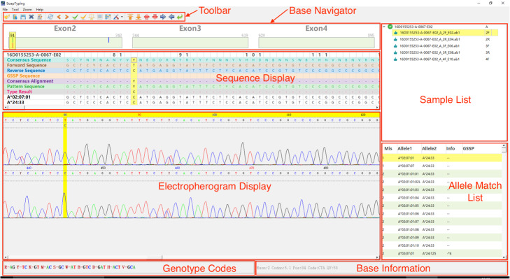 SOAPTyping: an open-source and cross-platform tool for sequence-based typing for HLA class I and ...