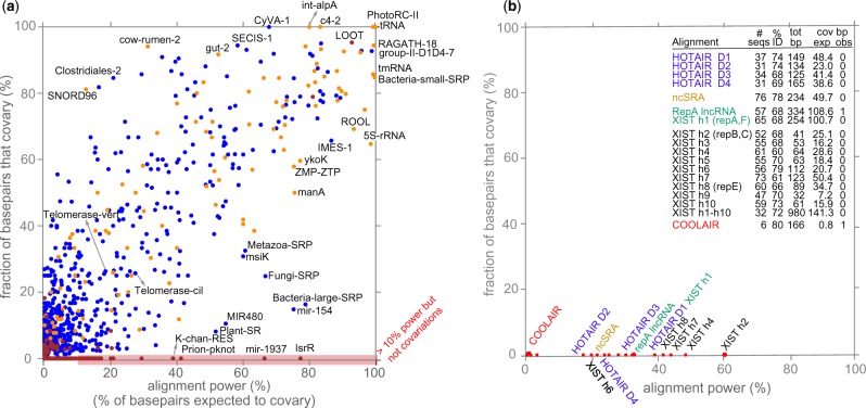 Estimating the power of sequence covariation for detecting conserved RNA structure - PMC