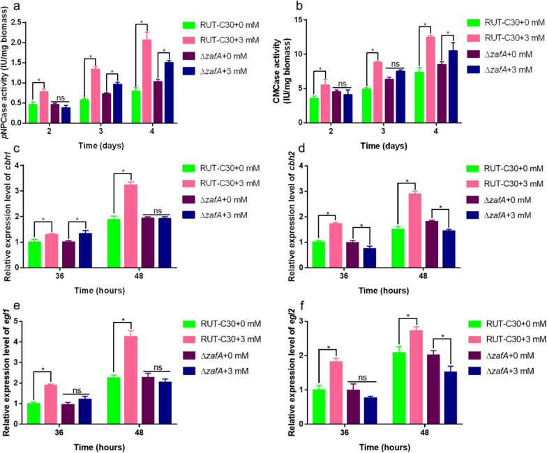 Mechanism of Zn2+ regulation of cellulase production in Trichoderma reesei Rut-C30 - PMC