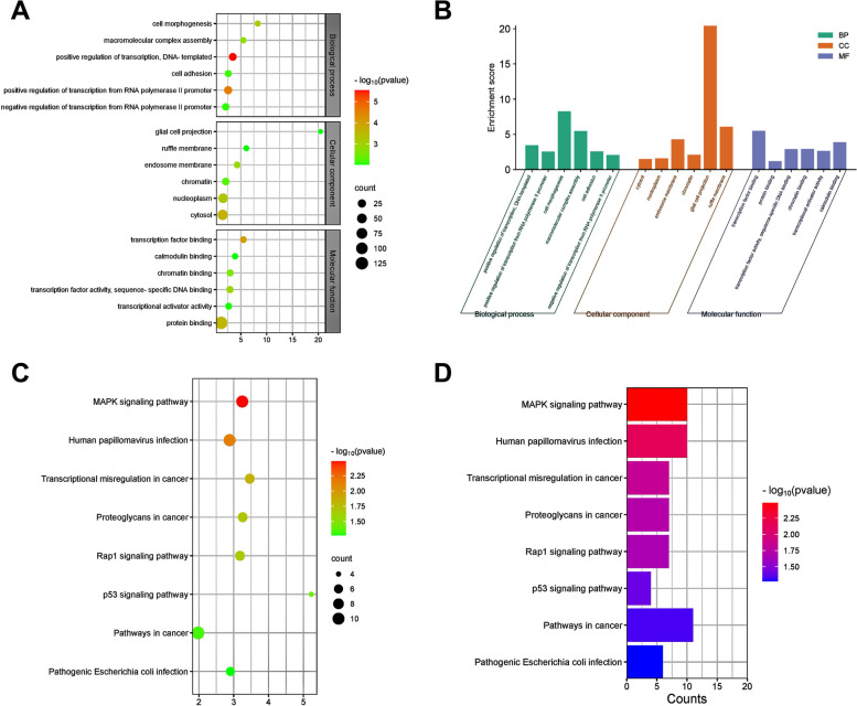 Bioinformatic identification and experiment validation reveal 6 hub genes, promising diagnostic ...