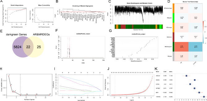 Comprehensive bioinformatics analysis reveals novel potential ...