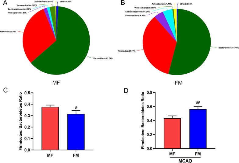 Different Gender Derived Gut Microbiota Influence Stroke Outcomes By Mitigating Inflammation Pmc