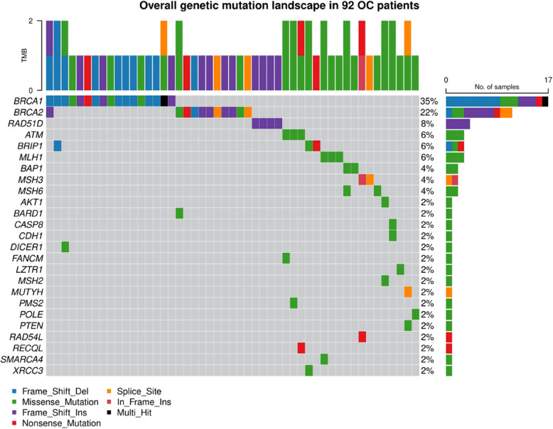 Identifying the germline variation spectrum and predisposition genes in Chinese ovarian cancer ...