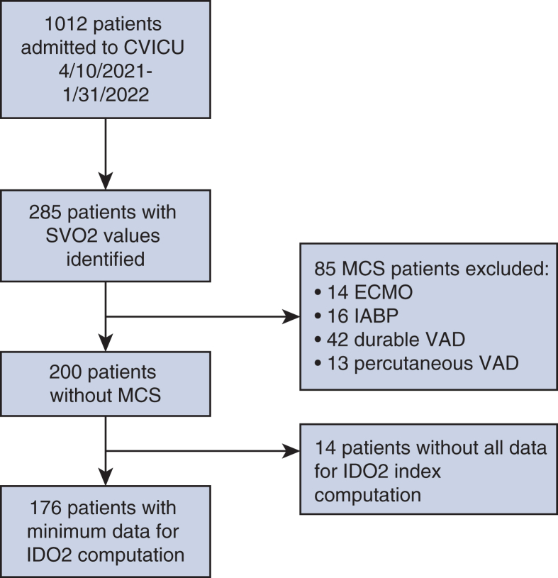 Validation of the inadequate delivery of oxygen index in an adult cardiovascular intensive care ...