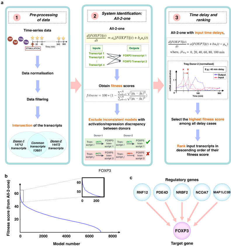 Inferring upstream regulatory genes of FOXP3 in human regulatory T cells from time-series ...